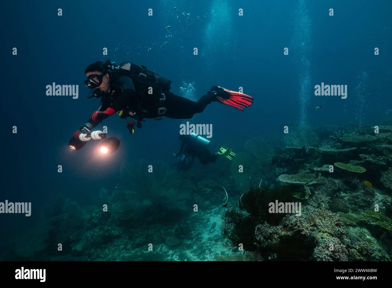 Dive on the coral Reef of Nosy Be Madagascar Stock Photo - Alamy