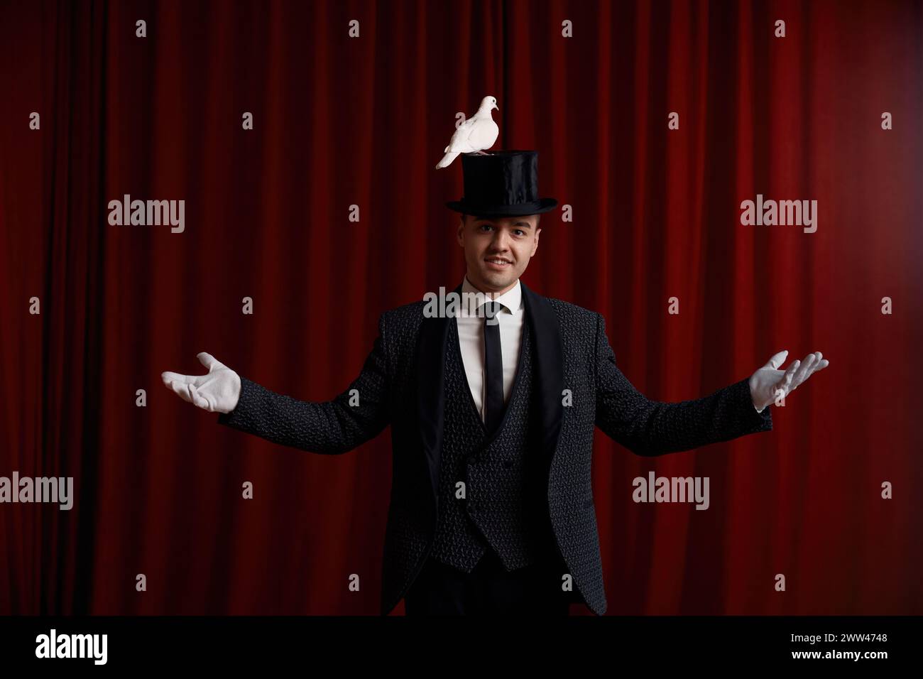 Man magician performing trick with beautiful white dove bird Stock ...