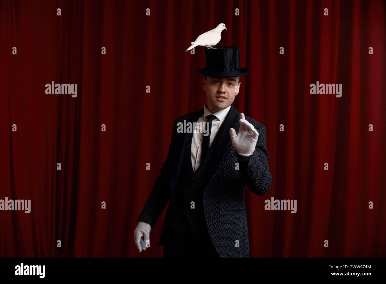 Man magician performing trick with beautiful white dove bird Stock ...