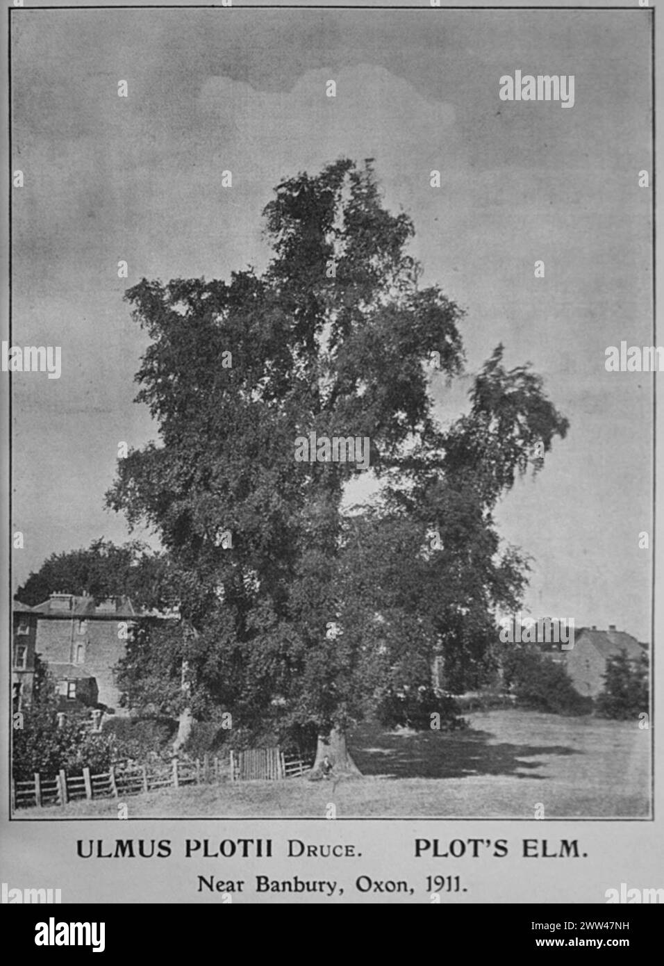 Two contiguous hi-res stock photography and images - Alamy