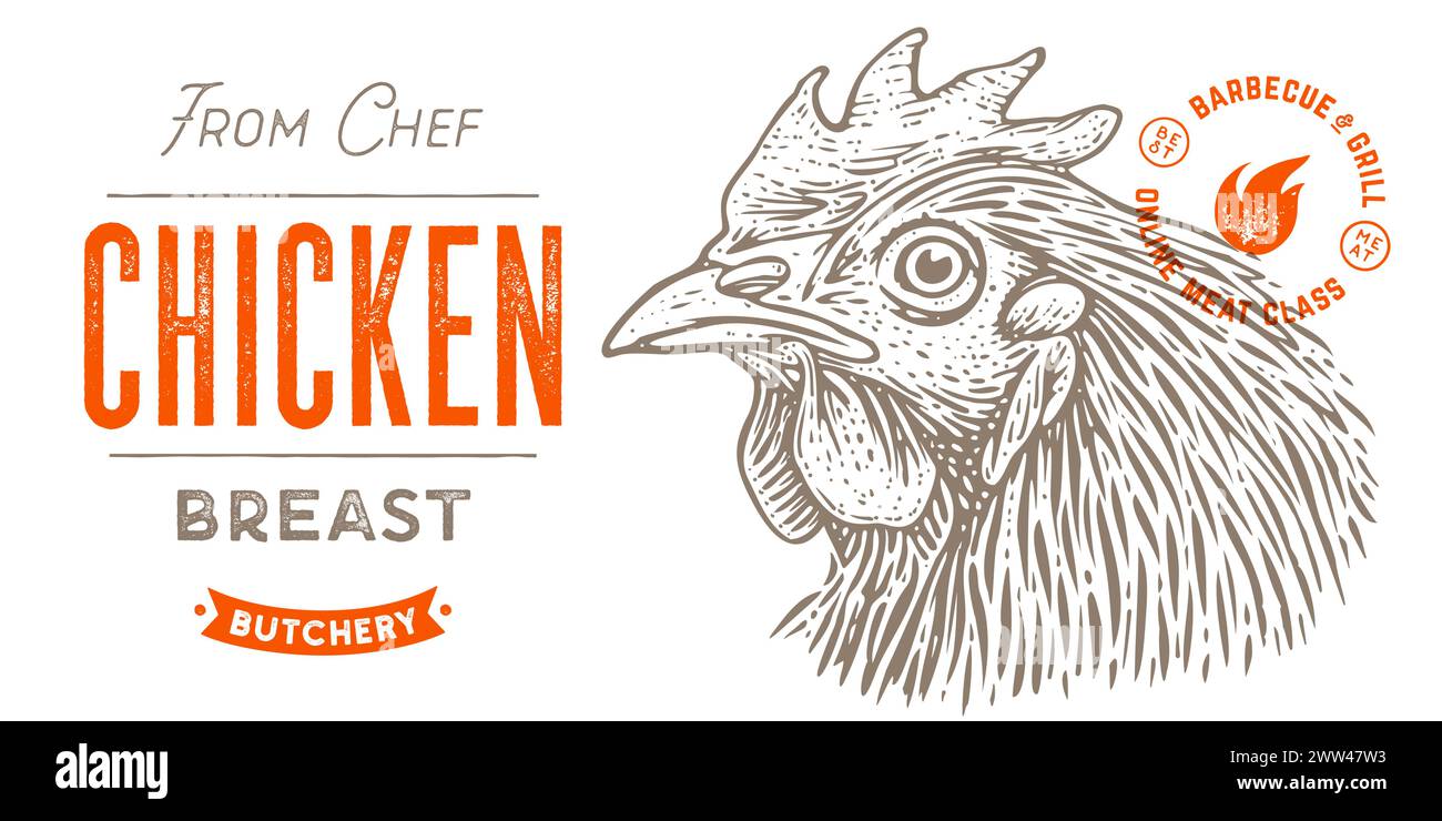 Chicken, hen head. Vintage retro print, chicken sketch ink pencil style ...