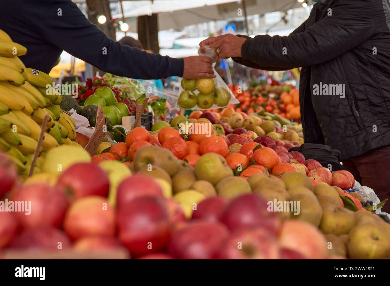 Closeup of hands of seller and customer handing over fruit and money at ...