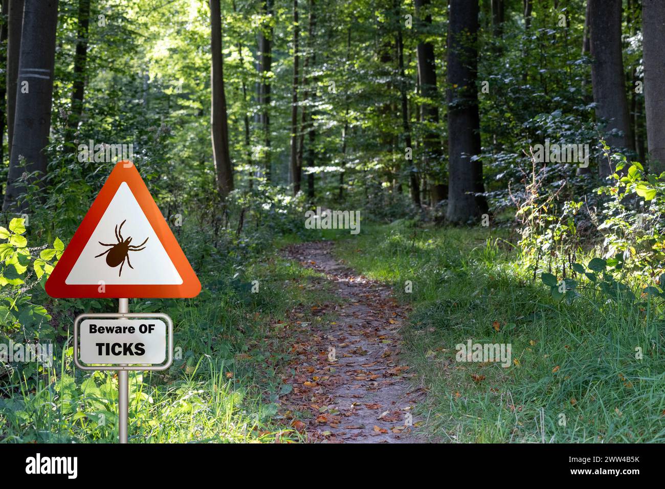Warning sign for infected ticks in a forest. Risk of tick and Lyme ...