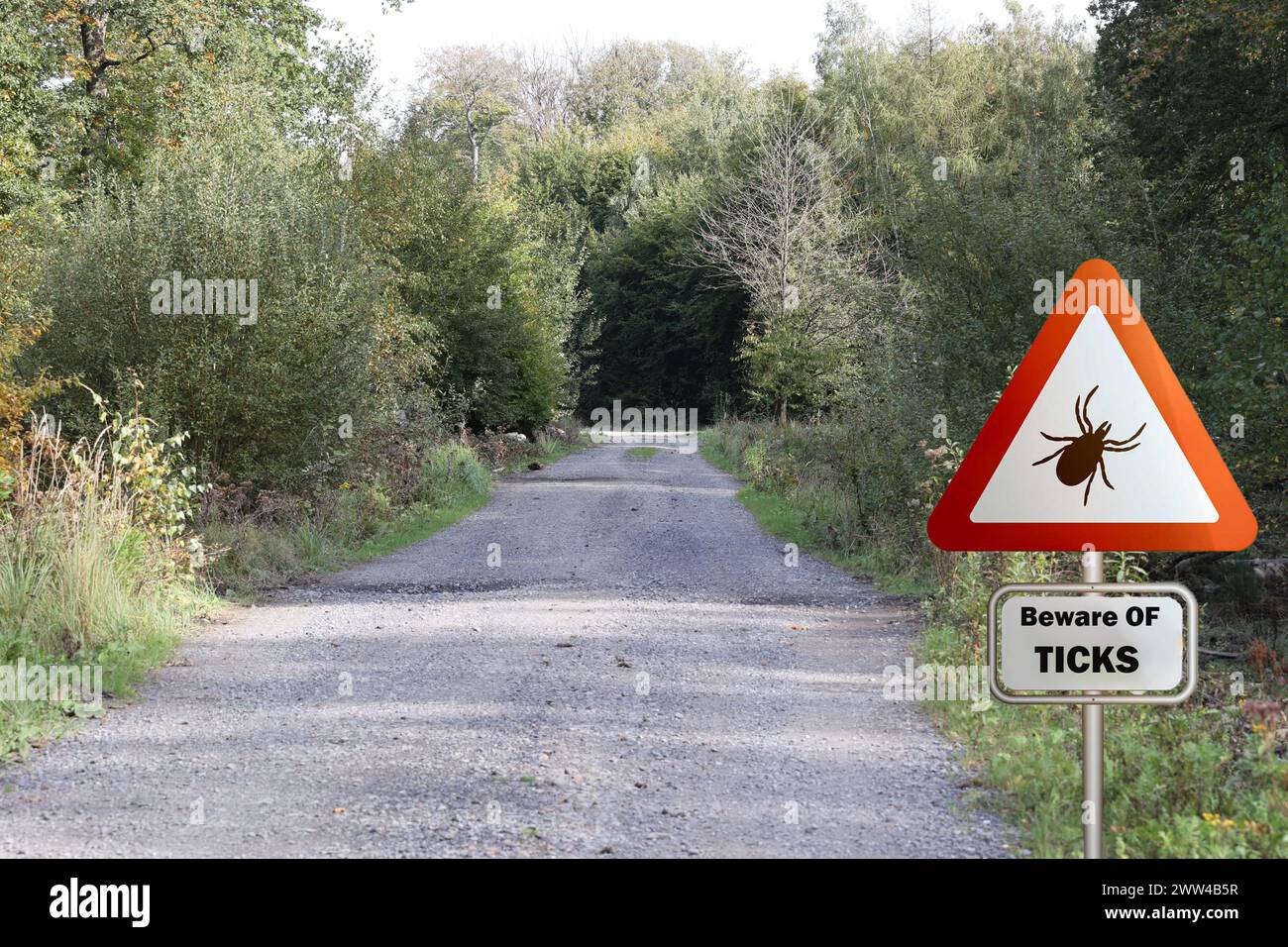 Warning sign for infected ticks in a forest. Risk of tick and Lyme ...