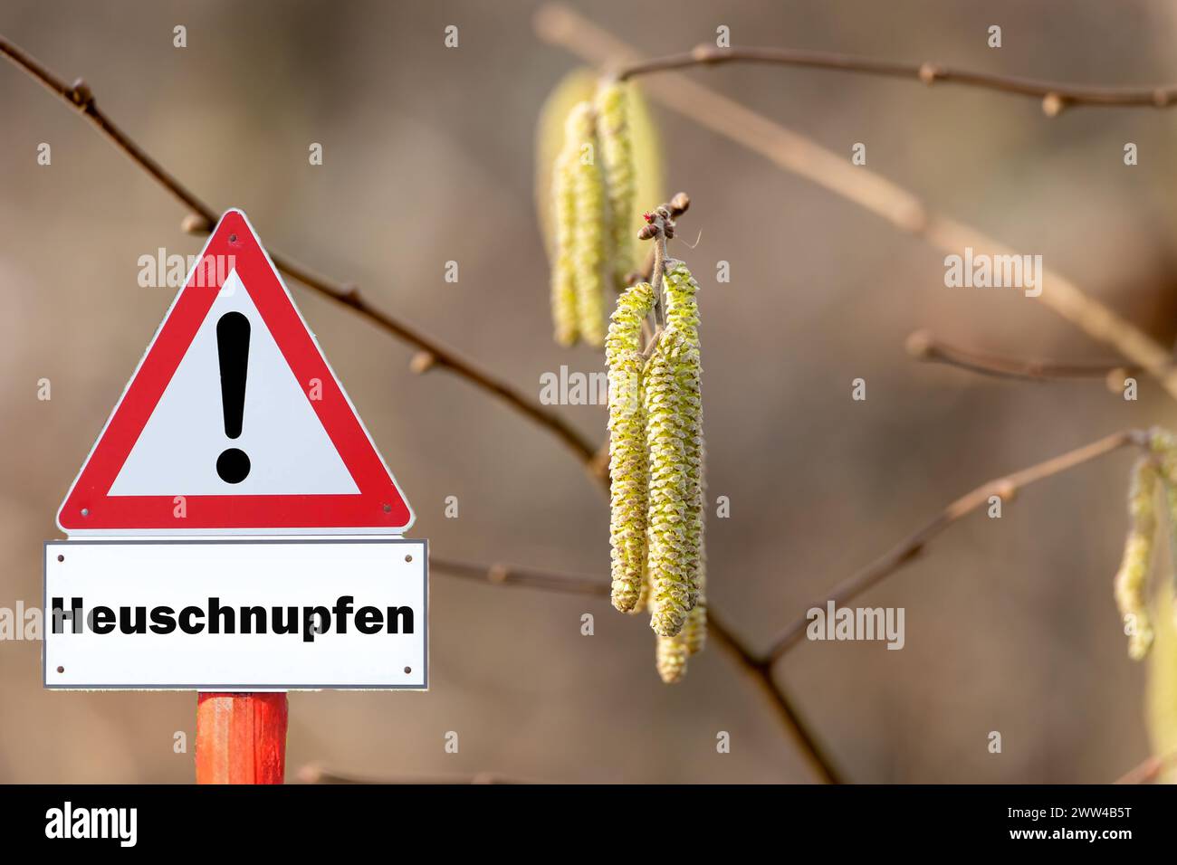 Sign with warning pollen hay fever allergy Stock Photo - Alamy