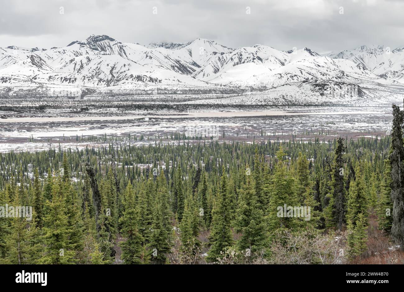 Frozen Lake and tundra from Alaska Highway 1 from Glennallen to ...