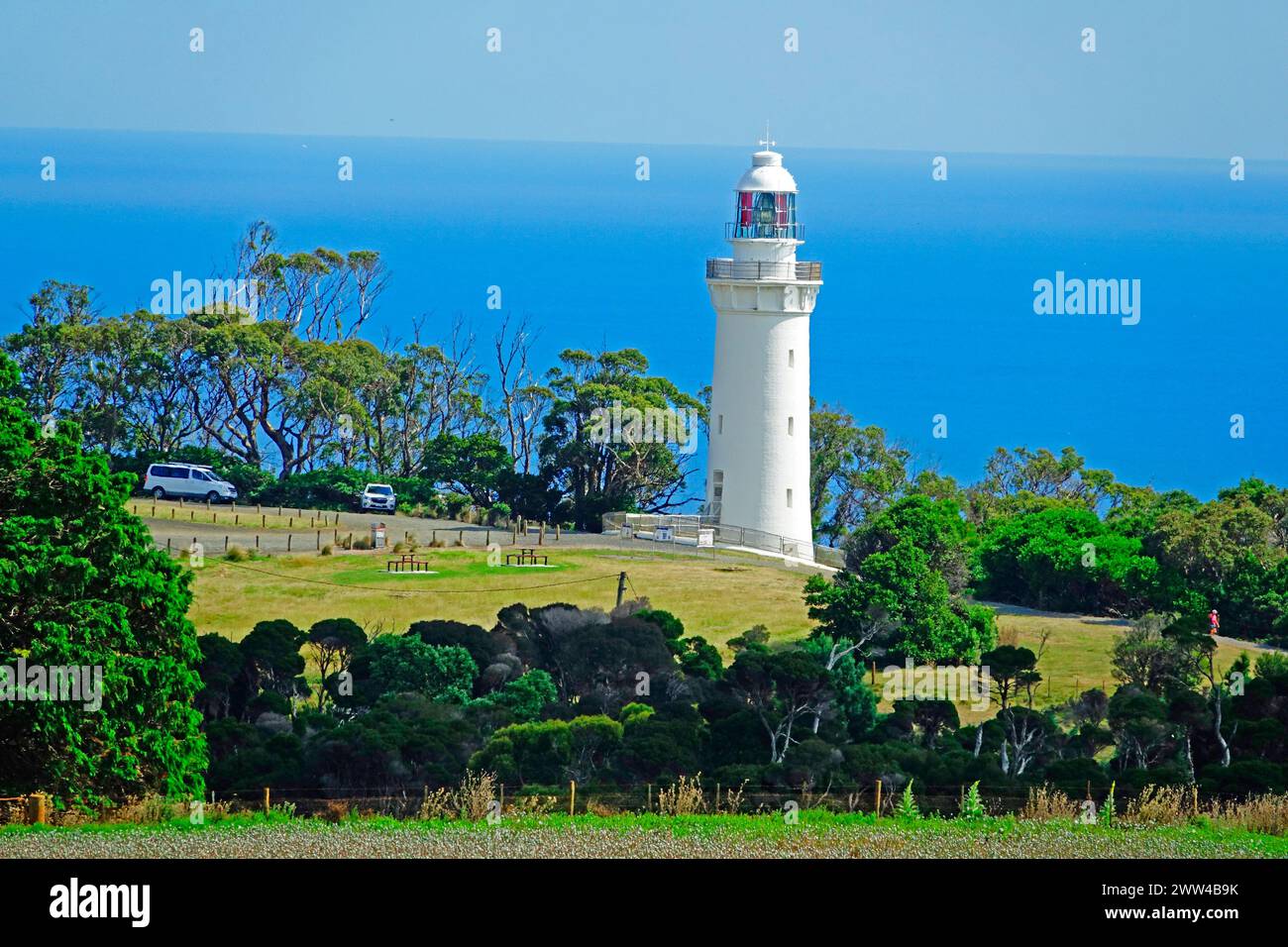 Poppy Fields Table Cape Lighthouse Burnie Tasmania Australia Tasman Sea ...