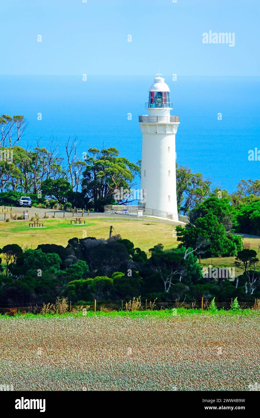 Poppy Fields Table Cape Lighthouse Burnie Tasmania Australia Tasman Sea ...