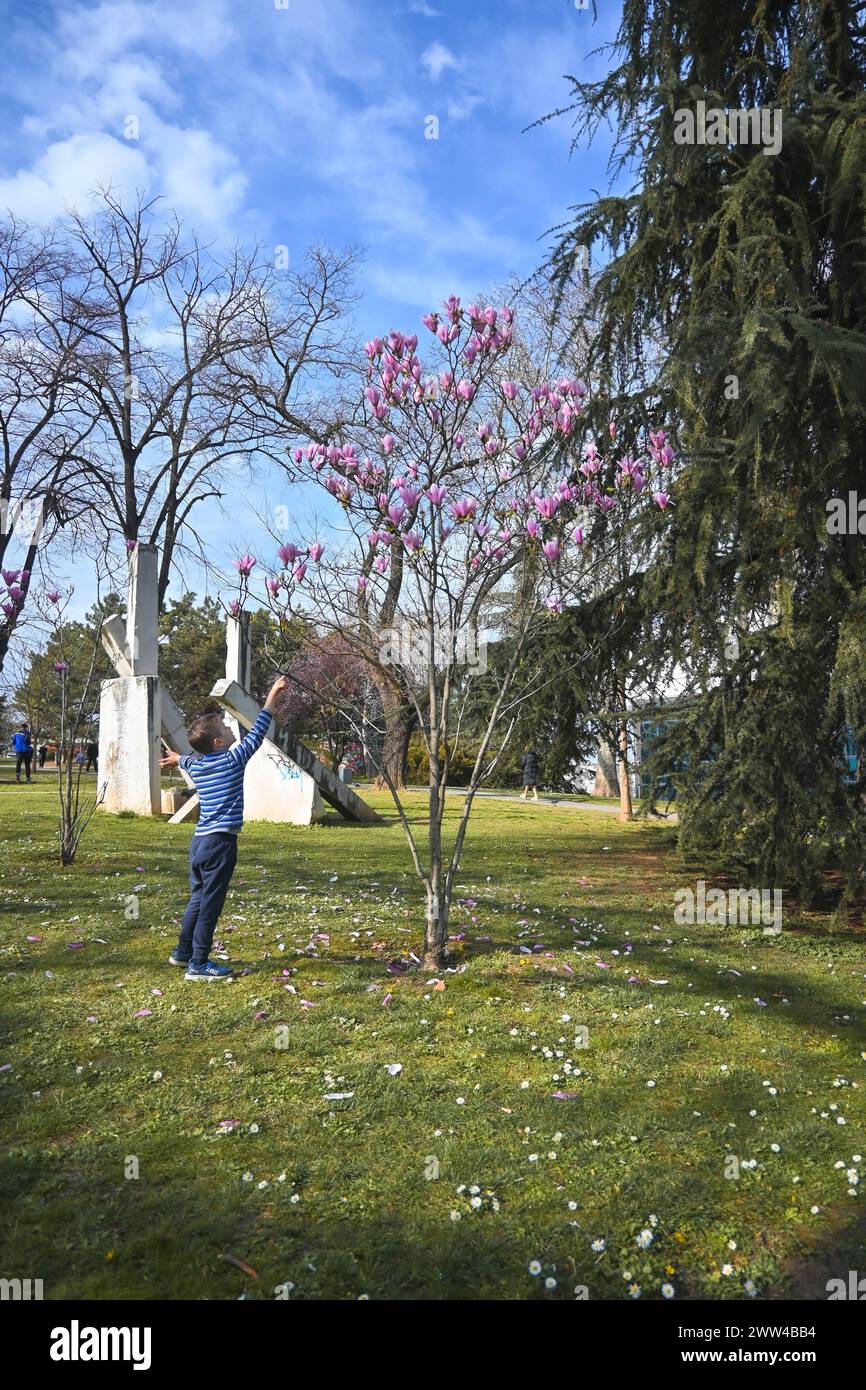 Spring in Belgrade Stock Photo - Alamy