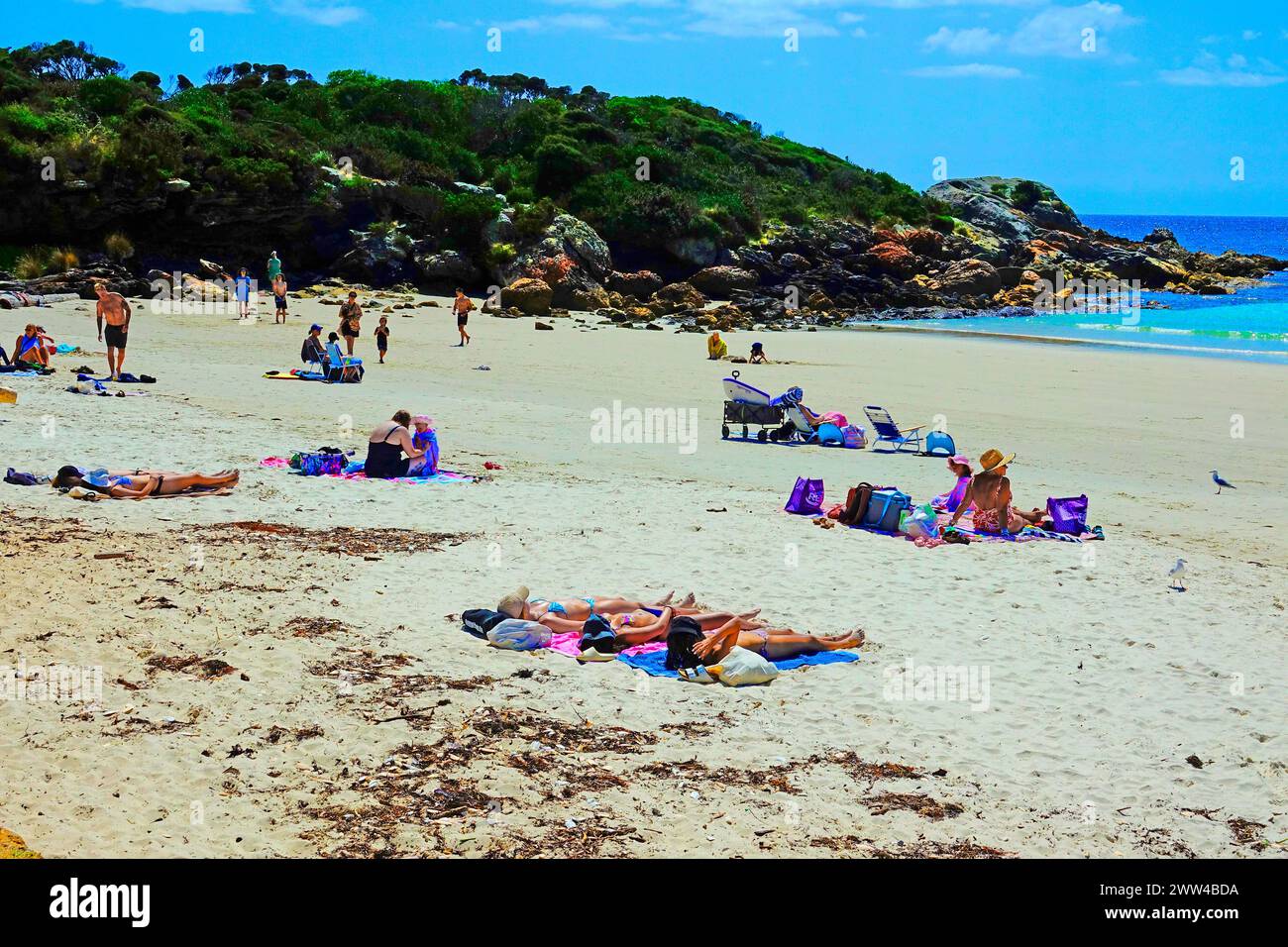 Boat Harbour Beach Wynyard Tasmania Australia Tasman Sea Indian Ocean ...