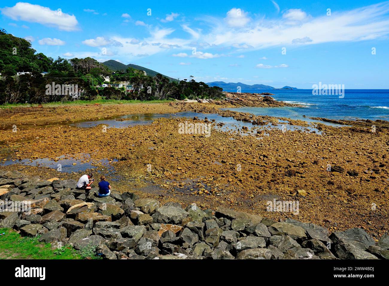 Boat Harbour Beach Wynyard Tasmania Australia Tasman Sea Indian Ocean ...