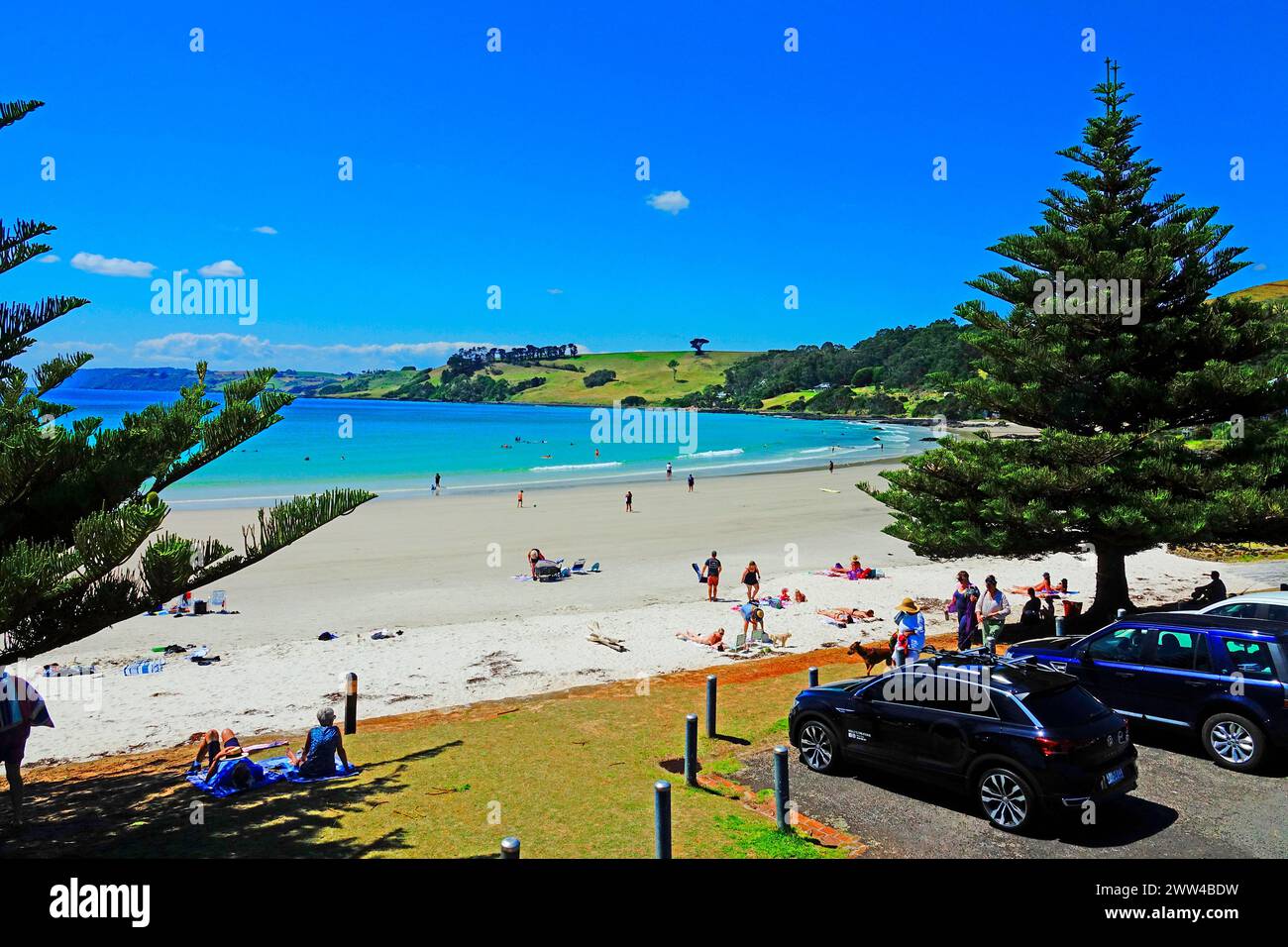 Boat Harbour Beach Wynyard Tasmania Australia Tasman Sea Indian Ocean ...
