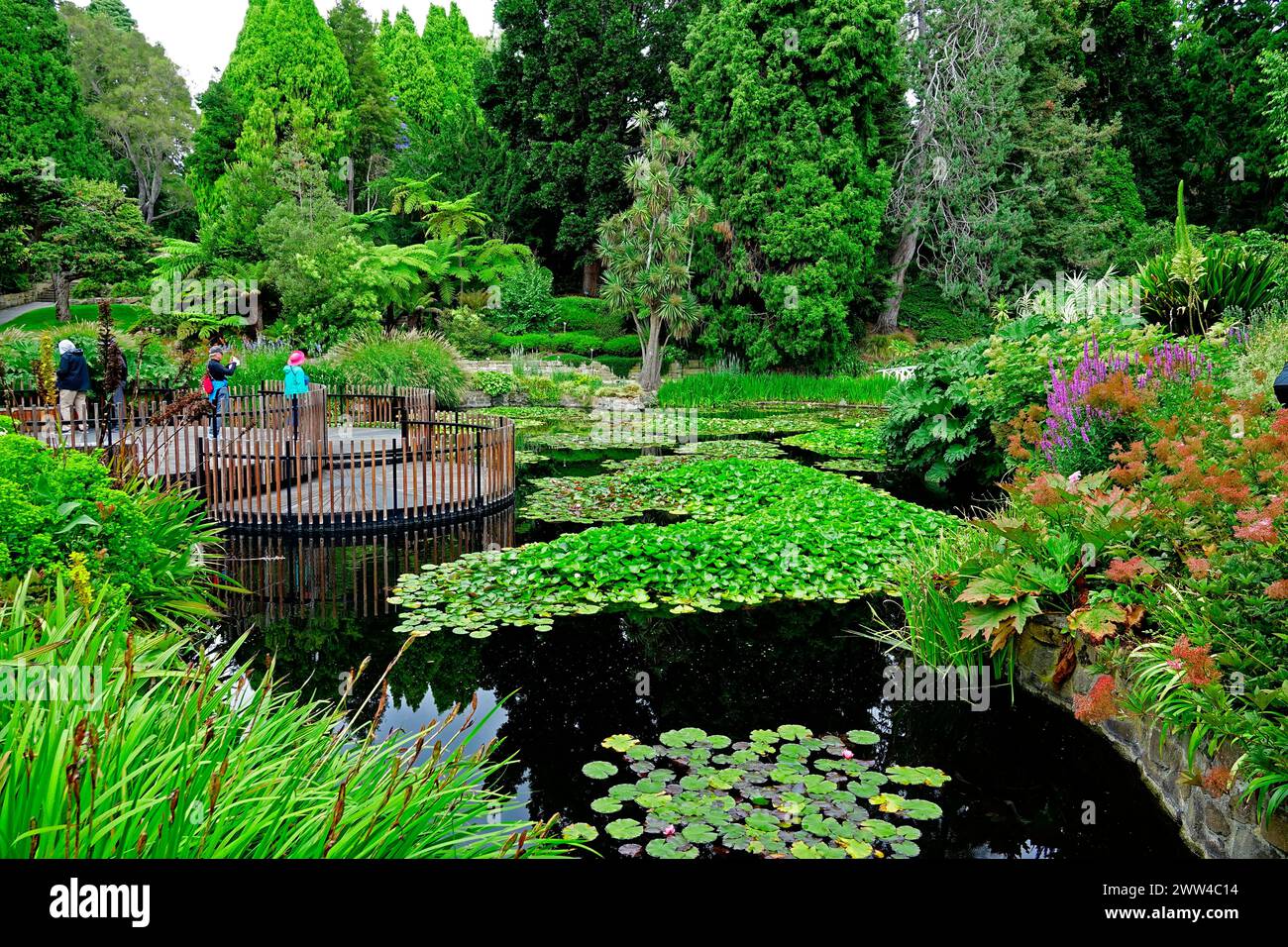 Royal Tasmanian Botanical Gardens Hobart Tasmania Australia Stock Photo ...
