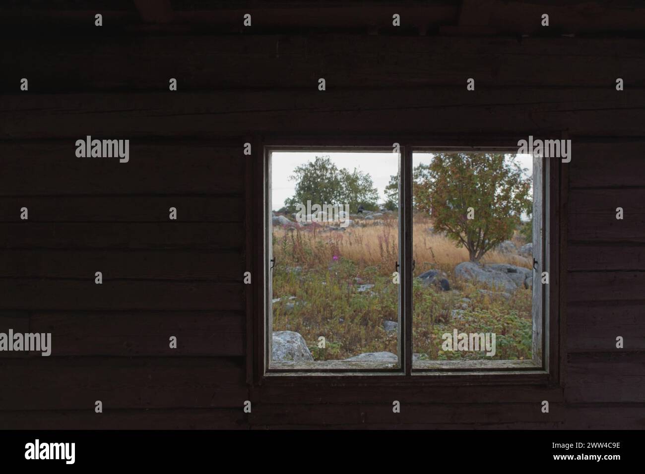 View through window of nature from inside of building Stock Photo - Alamy