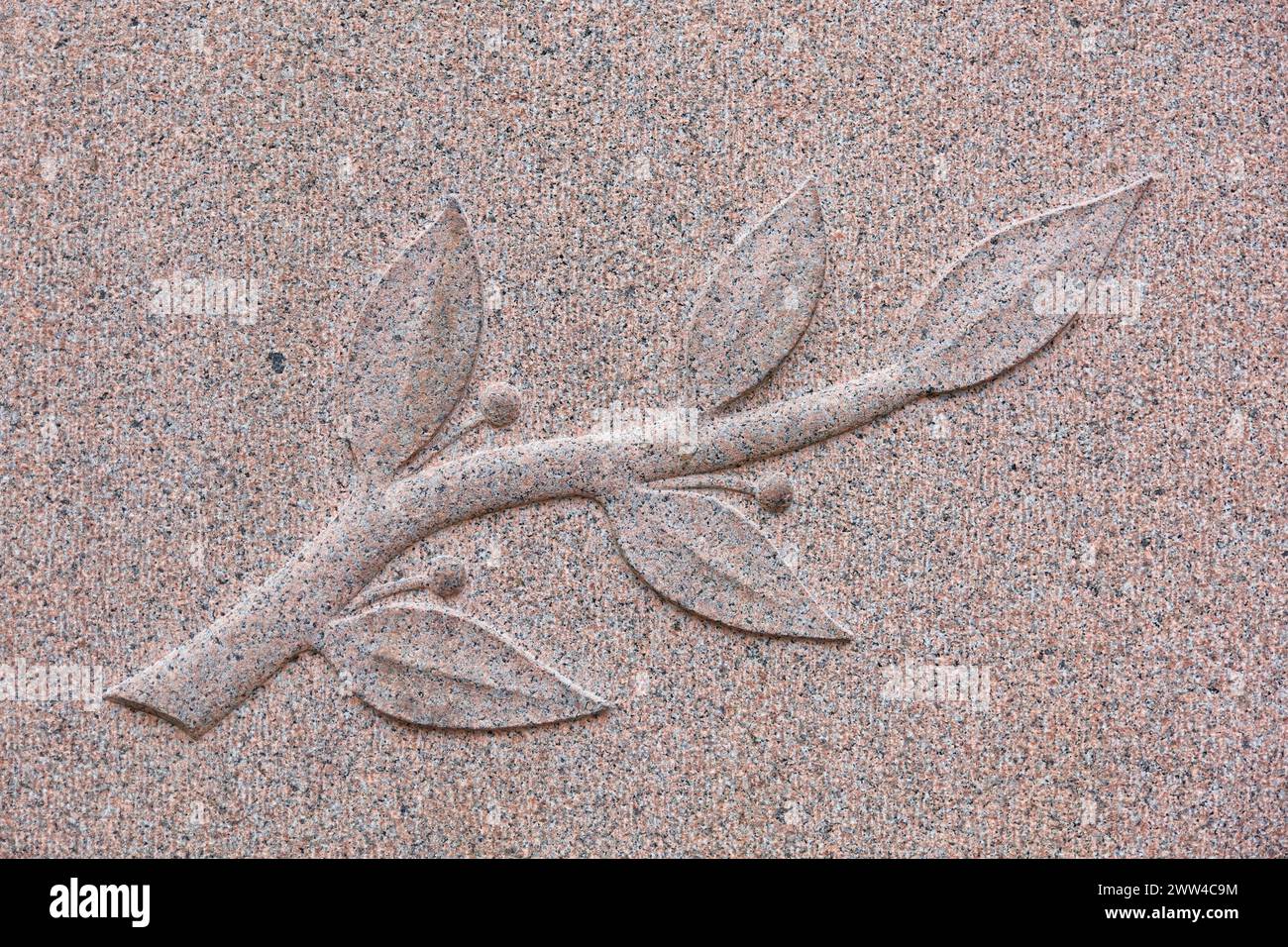 A design of tree branch engraved on gravestone in cemetery Stock Photo ...