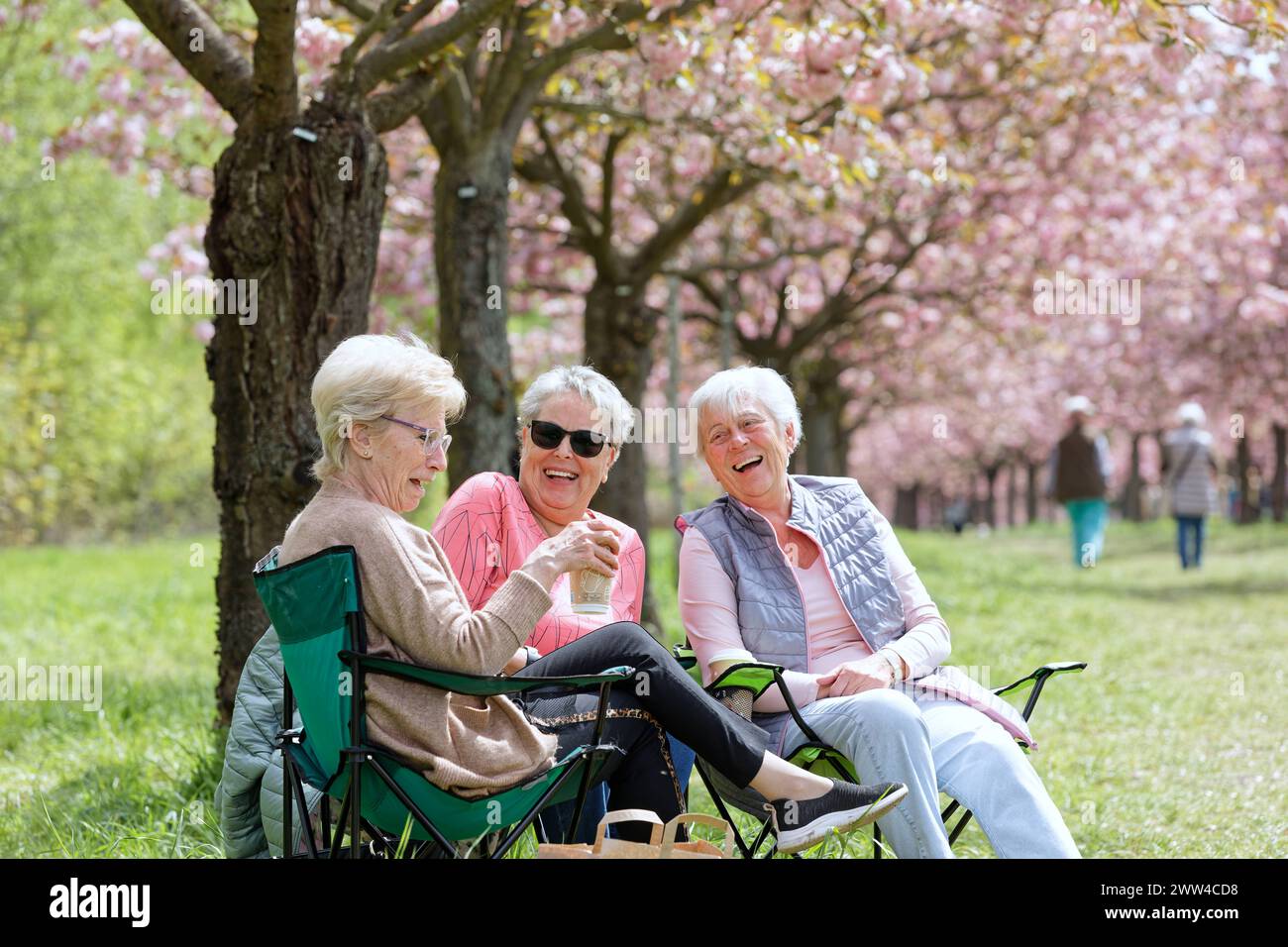Berlin, Deutschland, DEU - TV-Asahi-Kirschbluetenallee in Berlin-Teltow ...