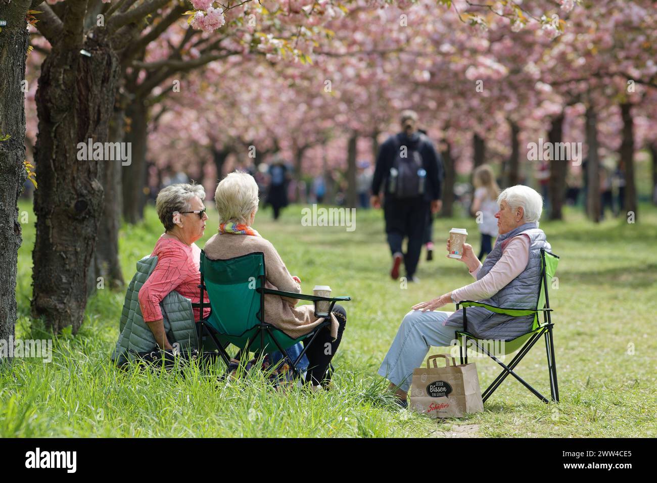 Mensch unter baum hi-res stock photography and images - Alamy