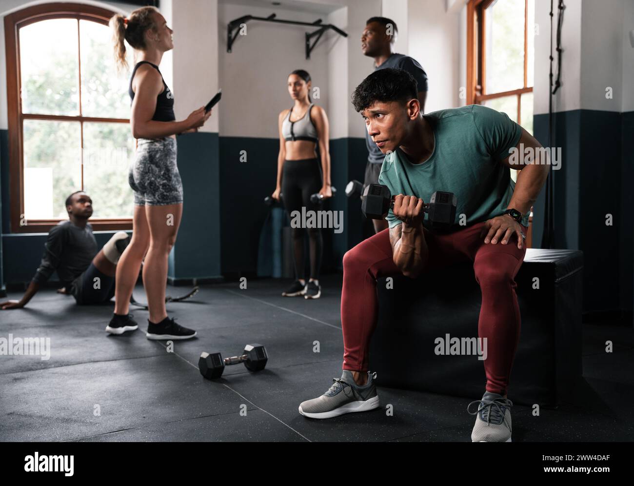 Man on gym bench, holding dumbbell, working arm muscle Stock Photo - Alamy