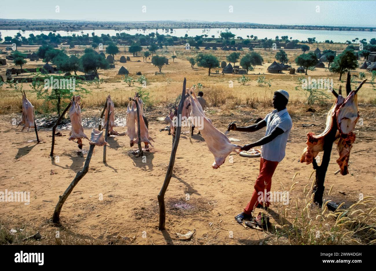 Slaughtered goats hi-res stock photography and images - Alamy