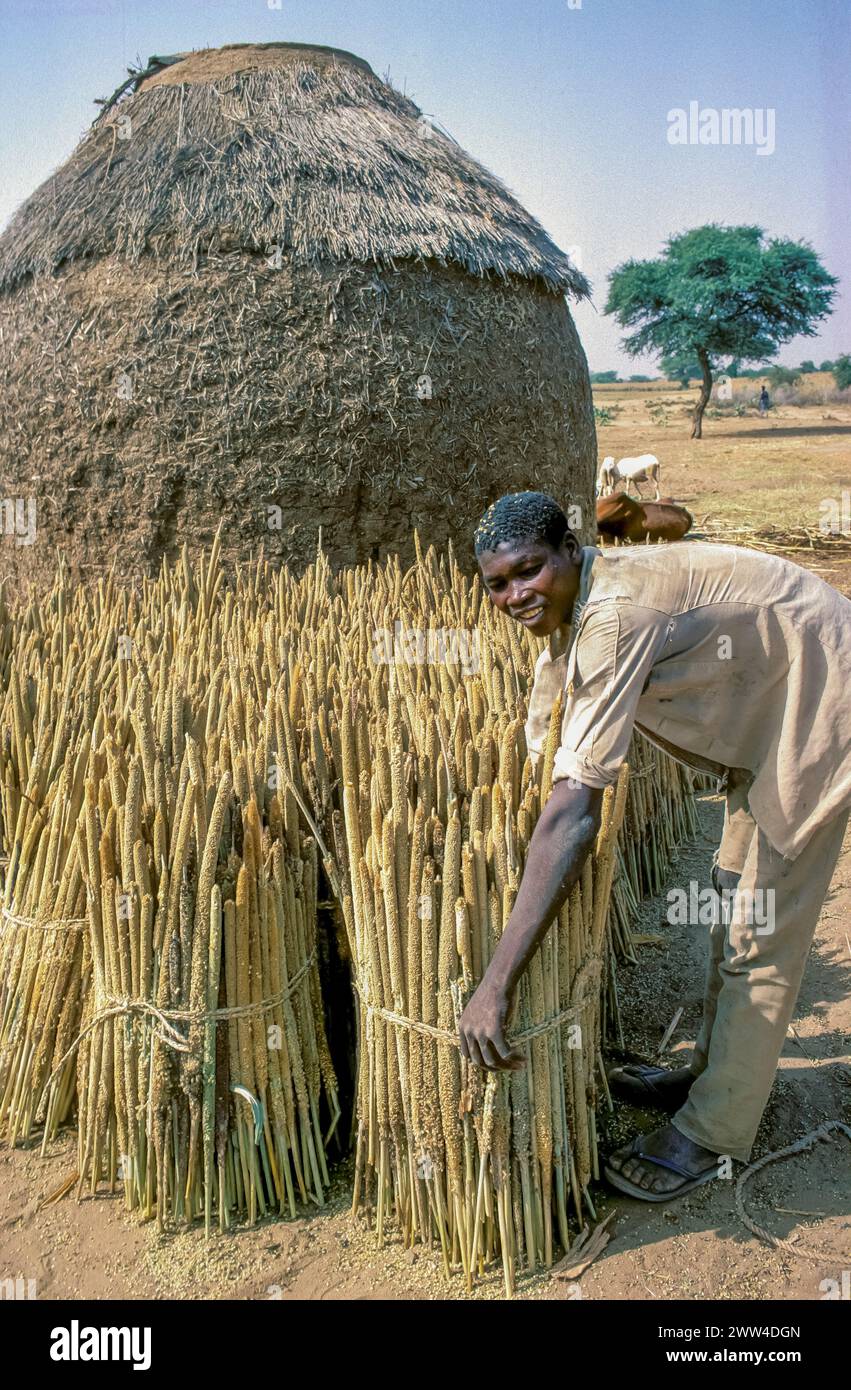 Niger, near the village Bouza the millet harvest is stored in an adobe ...