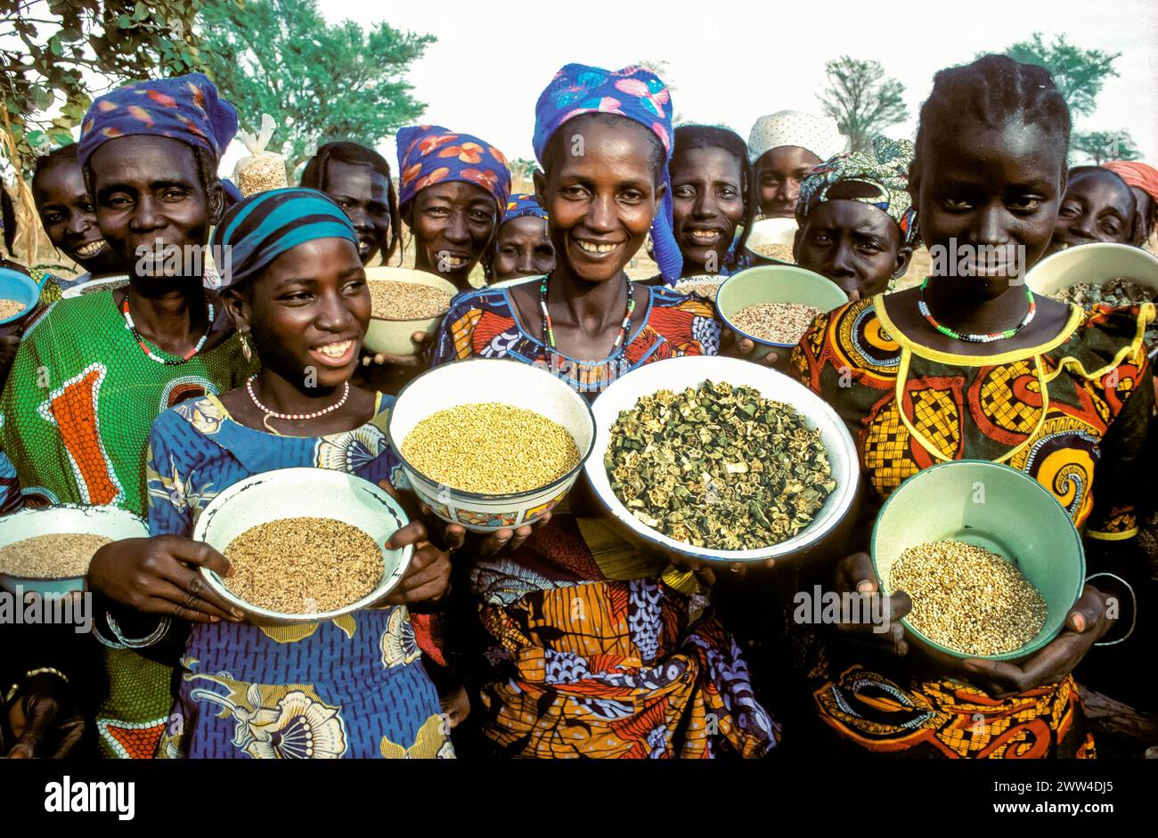 Niger, Balleyara, women from Bella tribe show the harvest of their ...