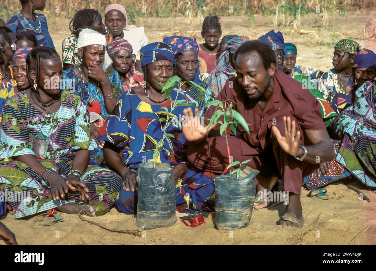 Niger - Man informs about the importance of reforestation to women of ...