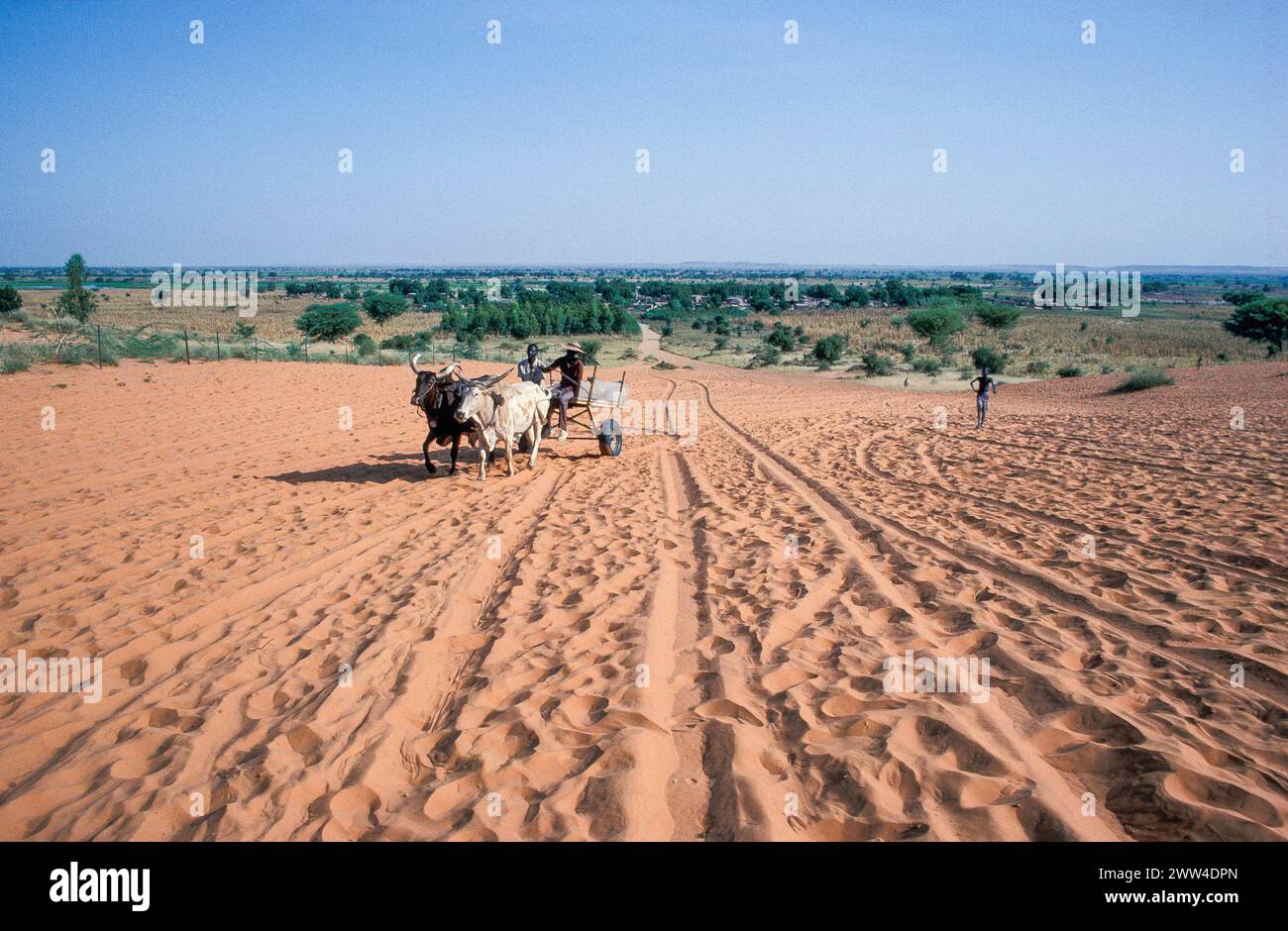 Niger, desertification in the Tera province is a major problem due to ...