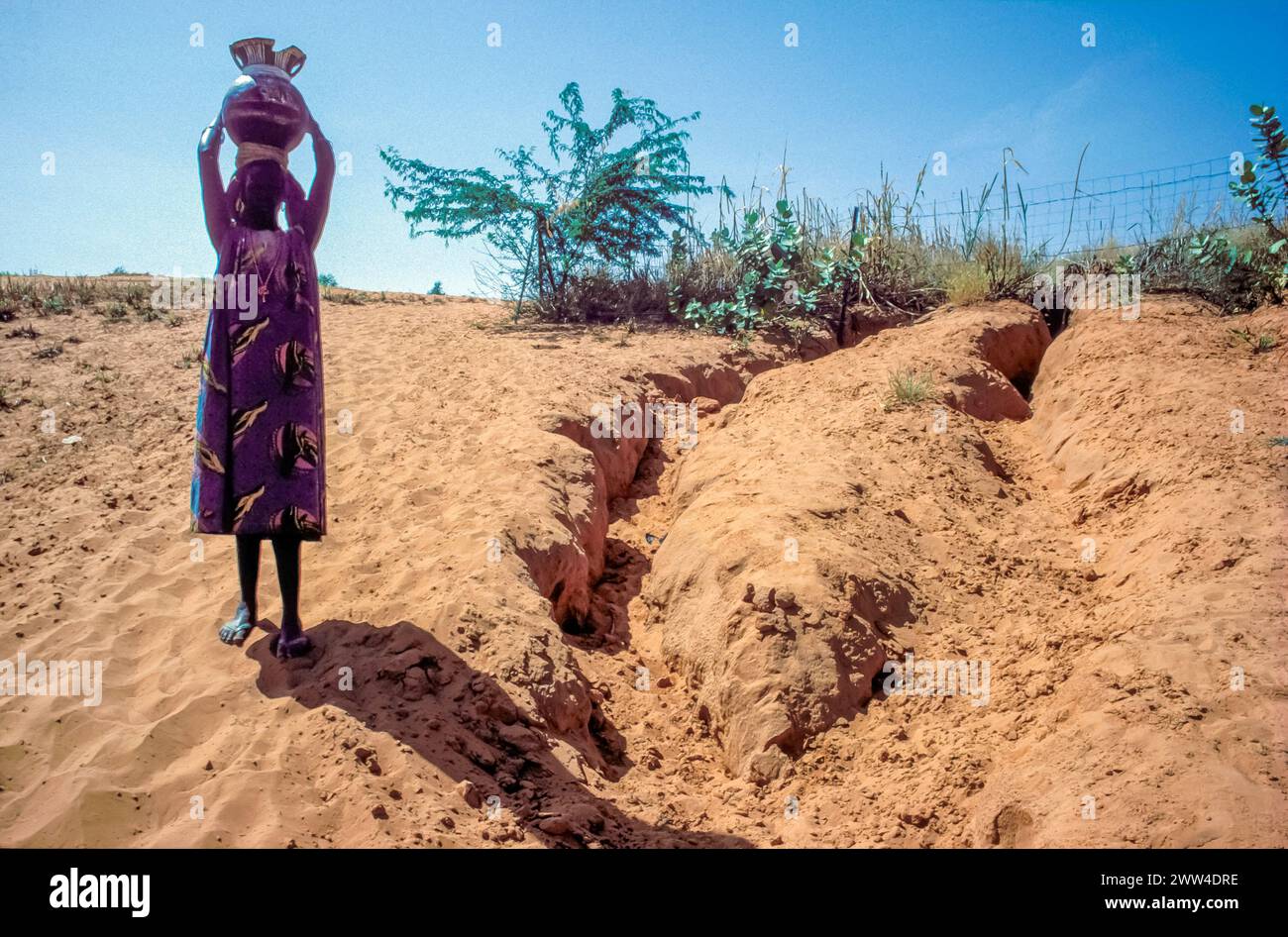Niger, desertification in the Tera province while a woman carries water ...