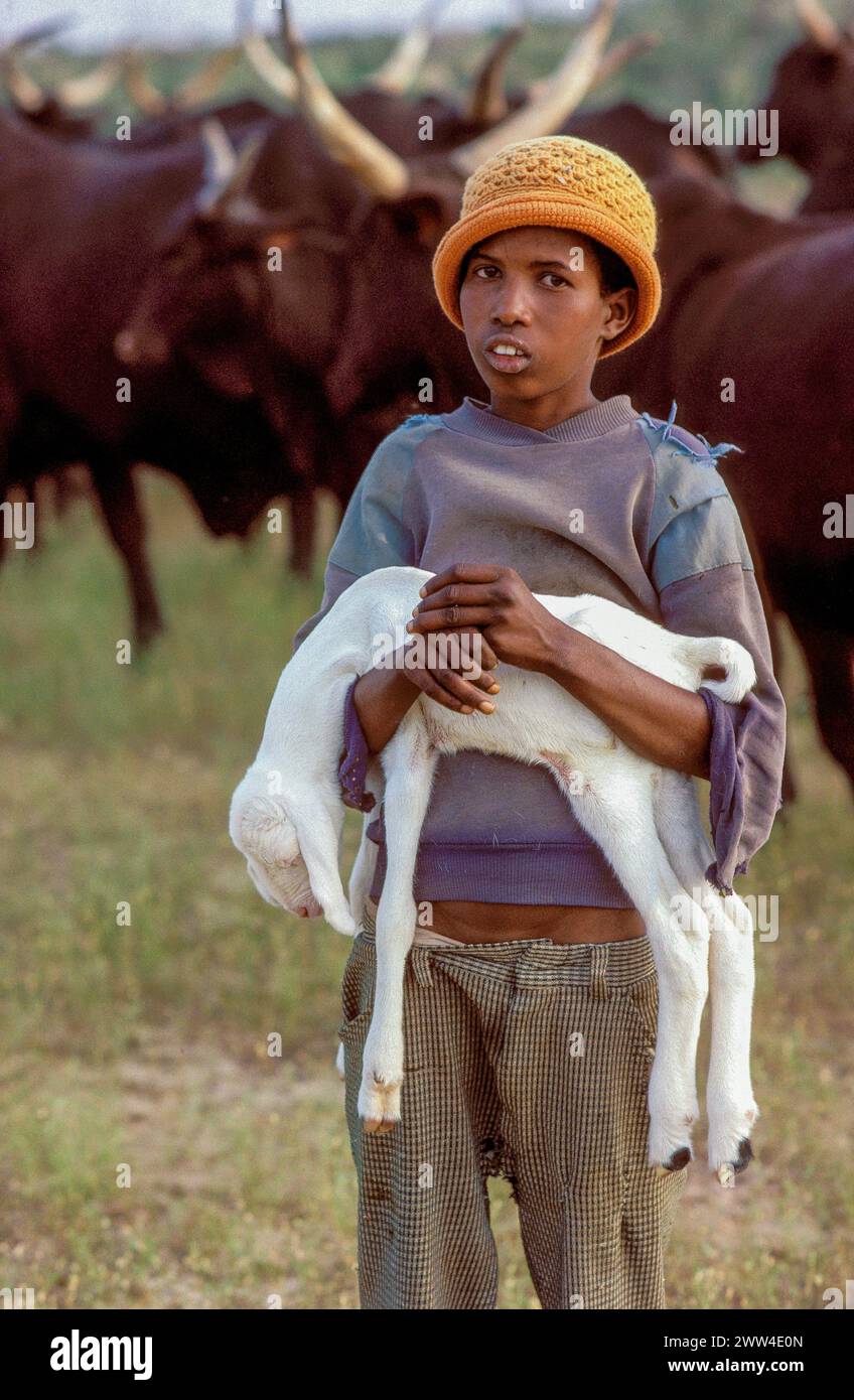 Niger, Bouza, shepherd boy with a just born lamb in the south Stock ...