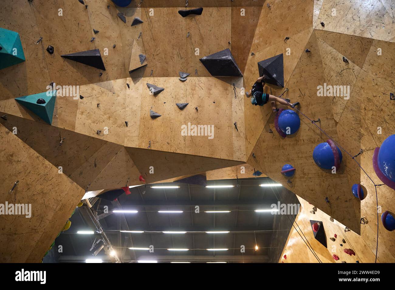 Professional climber climbing the high wall attached to a safety rope ...