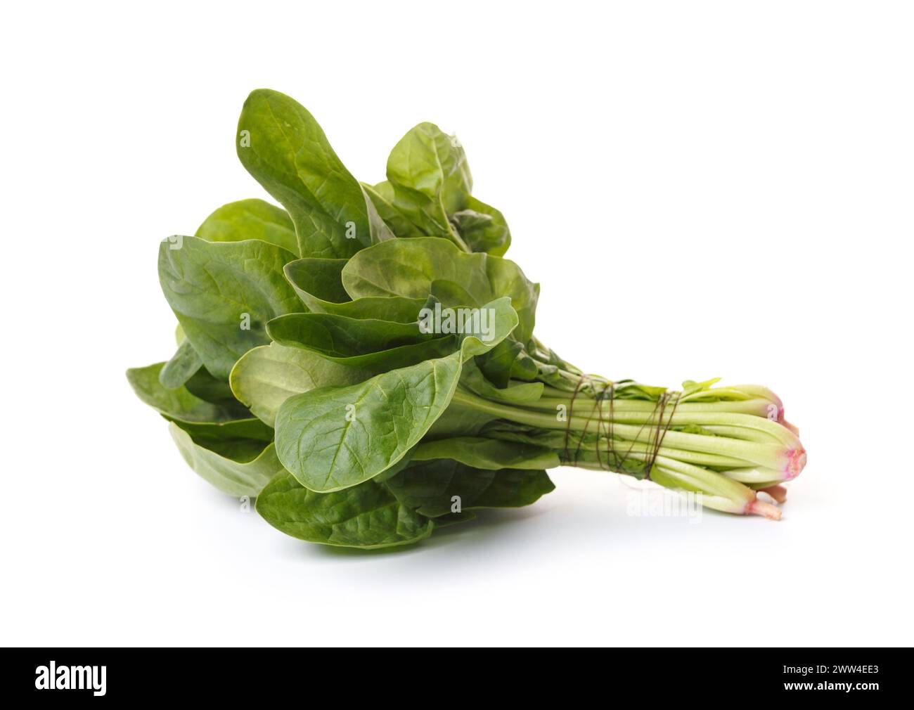 Bunch of fresh green organic spinach isolated on white background ...