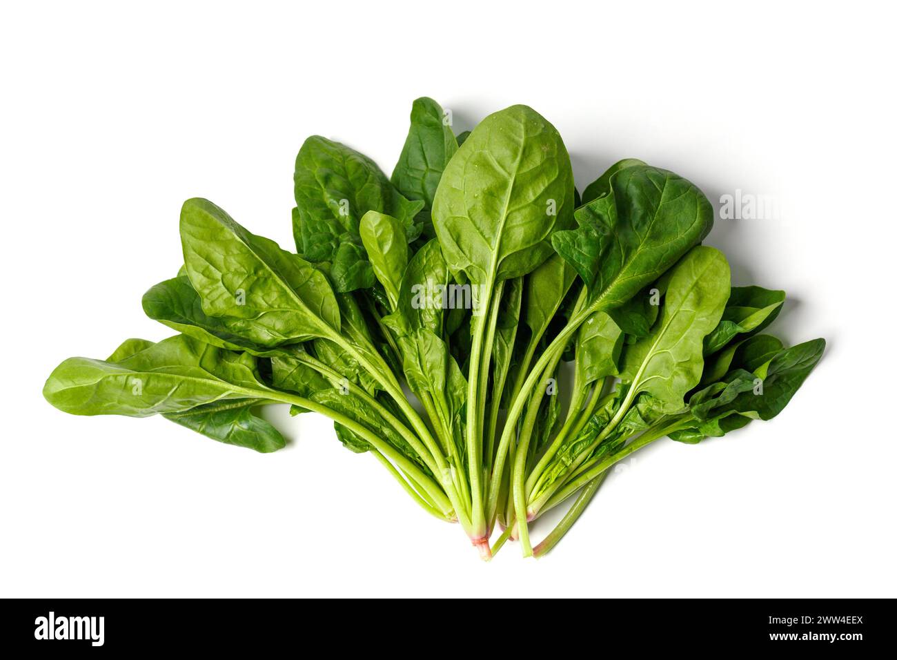 Bunch of fresh green organic spinach isolated on white background, top ...