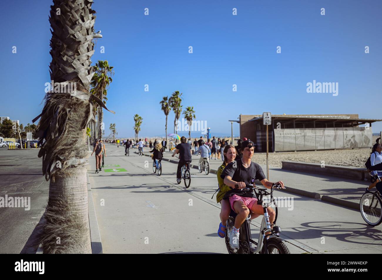 10 March 2024, Los Angeles, USA. Venice beach on a bright sunny day ...
