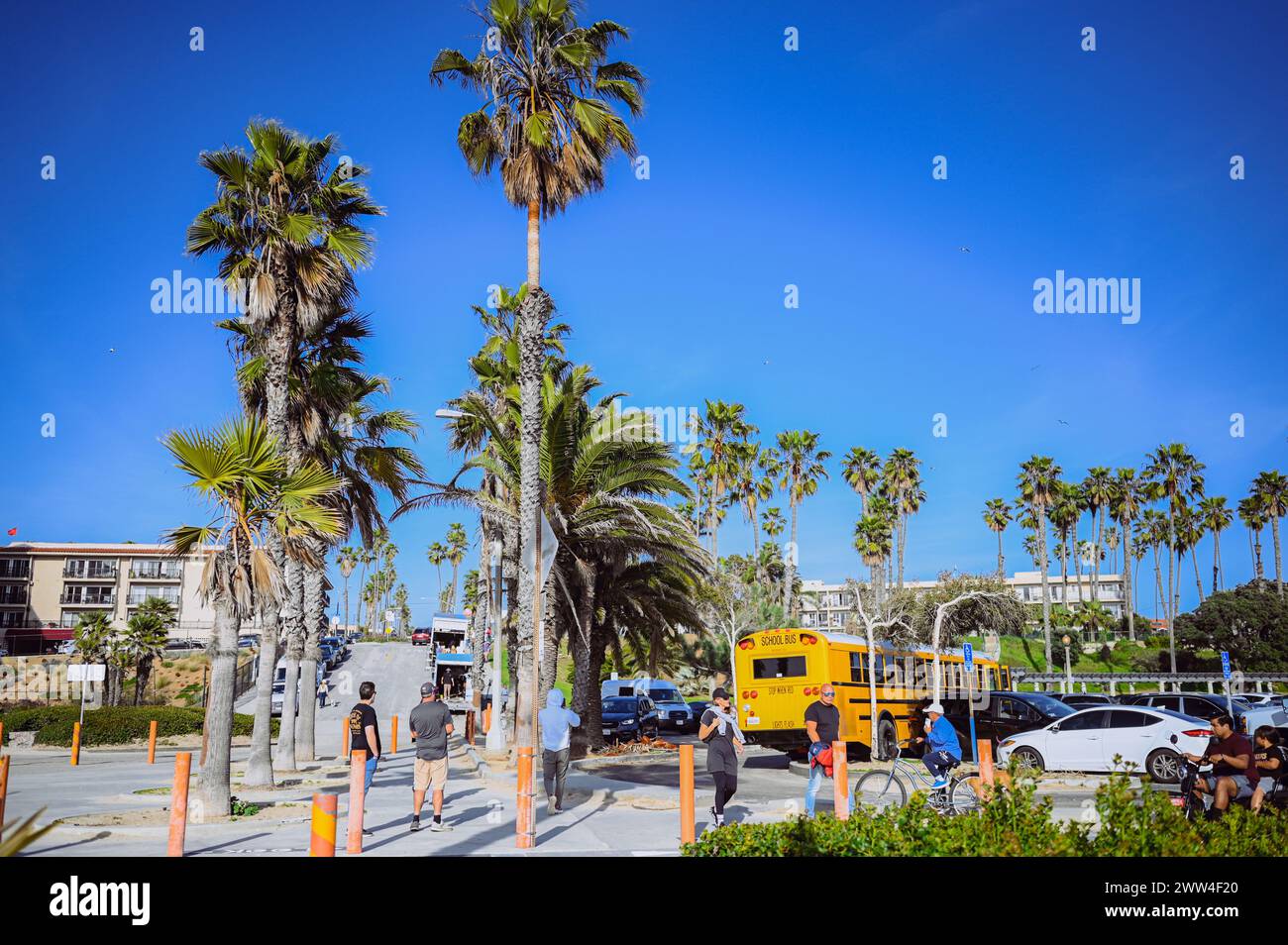 10 March 2024, Los Angeles, USA. Venice beach on a bright sunny day ...