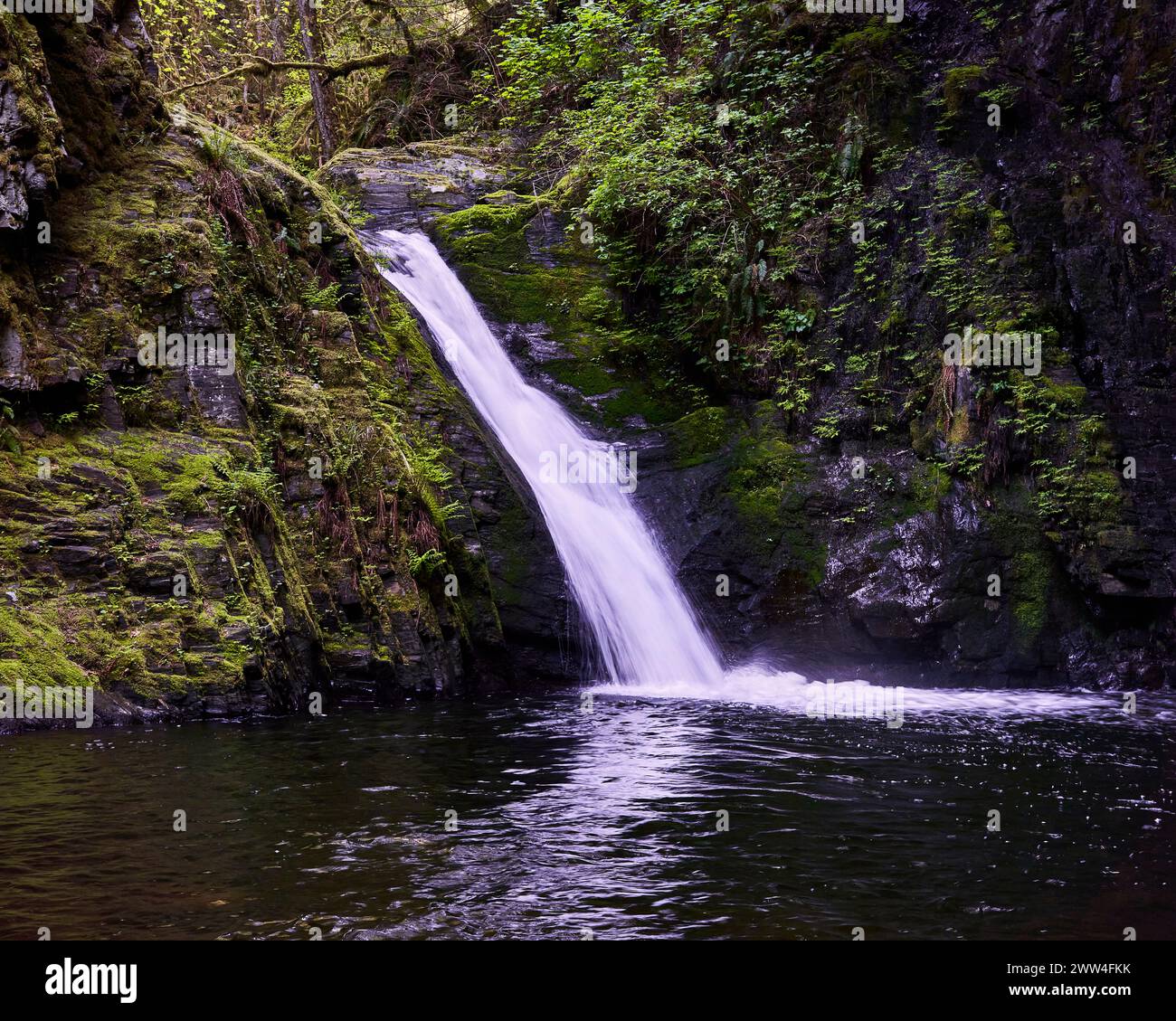 A beautiful waterfall cascading over a cliff to a dark pool surround by ...