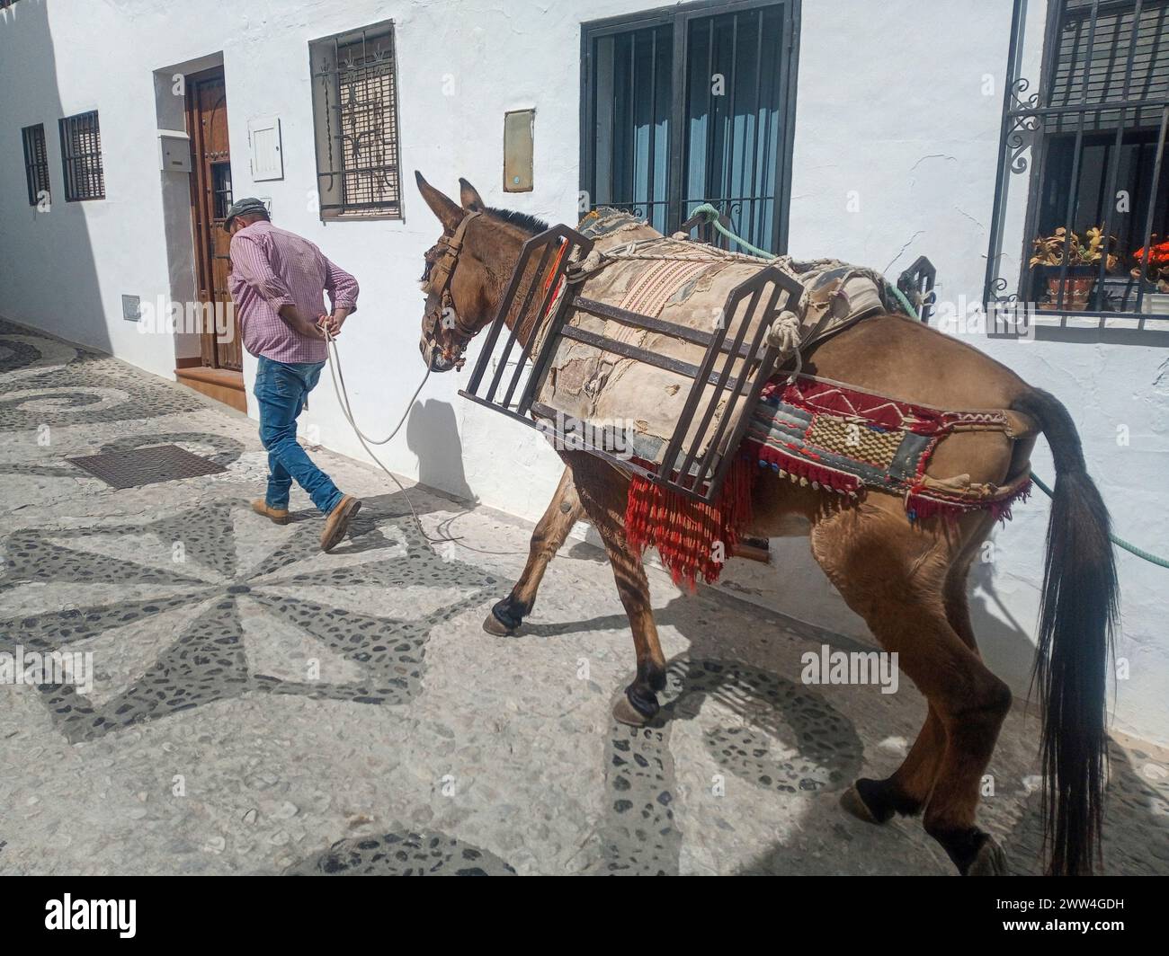 Mmm hi-res stock photography and images - Alamy