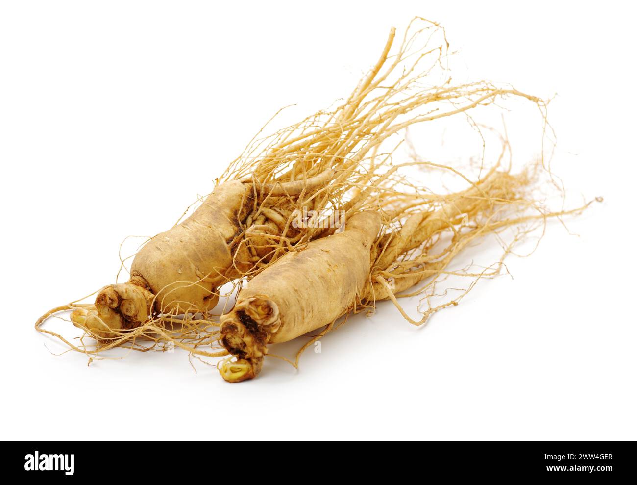 ginseng isolated on white background Stock Photo - Alamy