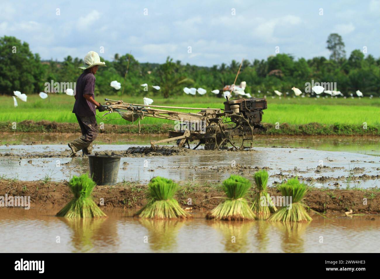 Patterns of plowing and rice cultivation (past farming) of Thailand ...