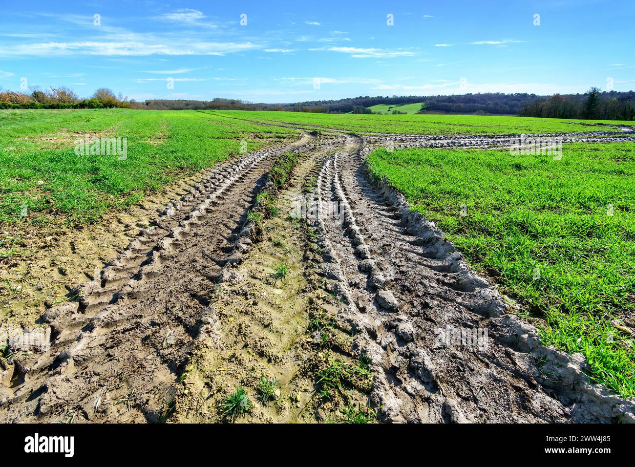 Tractor tyre tracks in muddy entrance to field - central France Stock ...