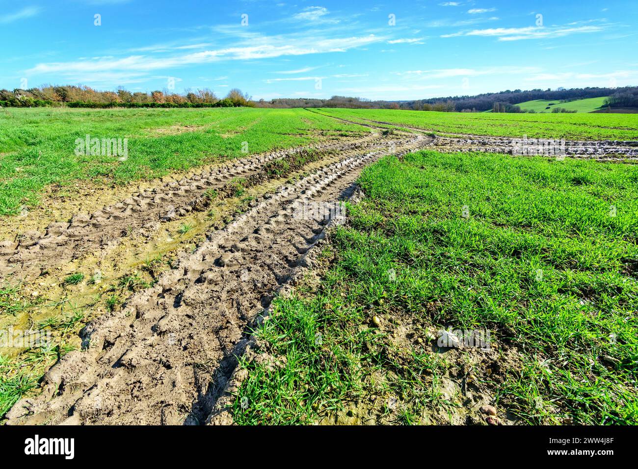 Tractor tyre tracks in muddy entrance to field - central France Stock ...