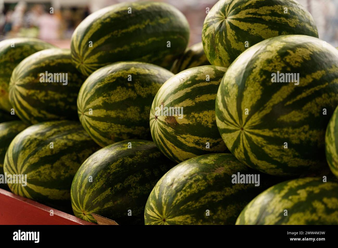 A stack of fresh watermelons piled on top of each other, showcasing ...