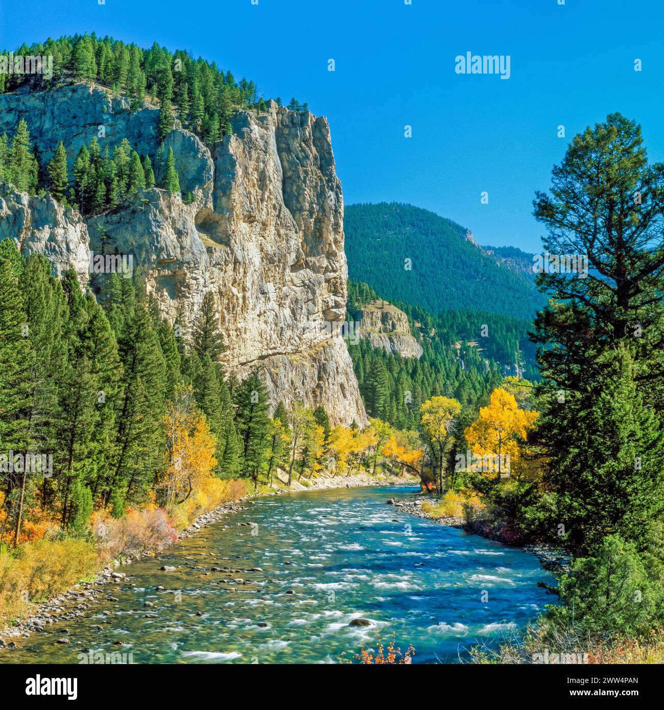fall colors and cliffs along the gallatin river near gallatin gateway ...