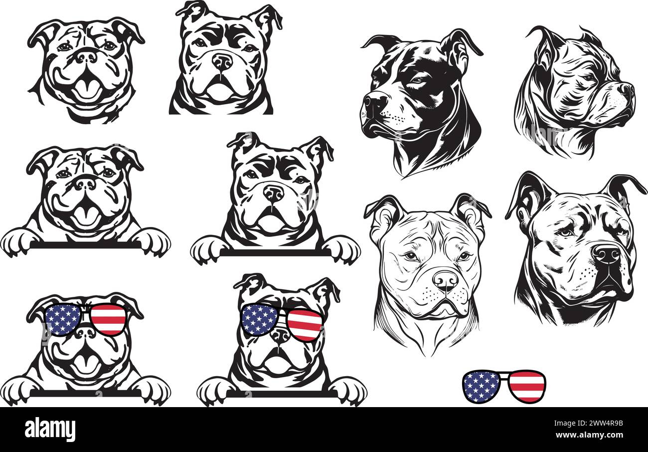 American bully logo Stock Vector Images - Alamy