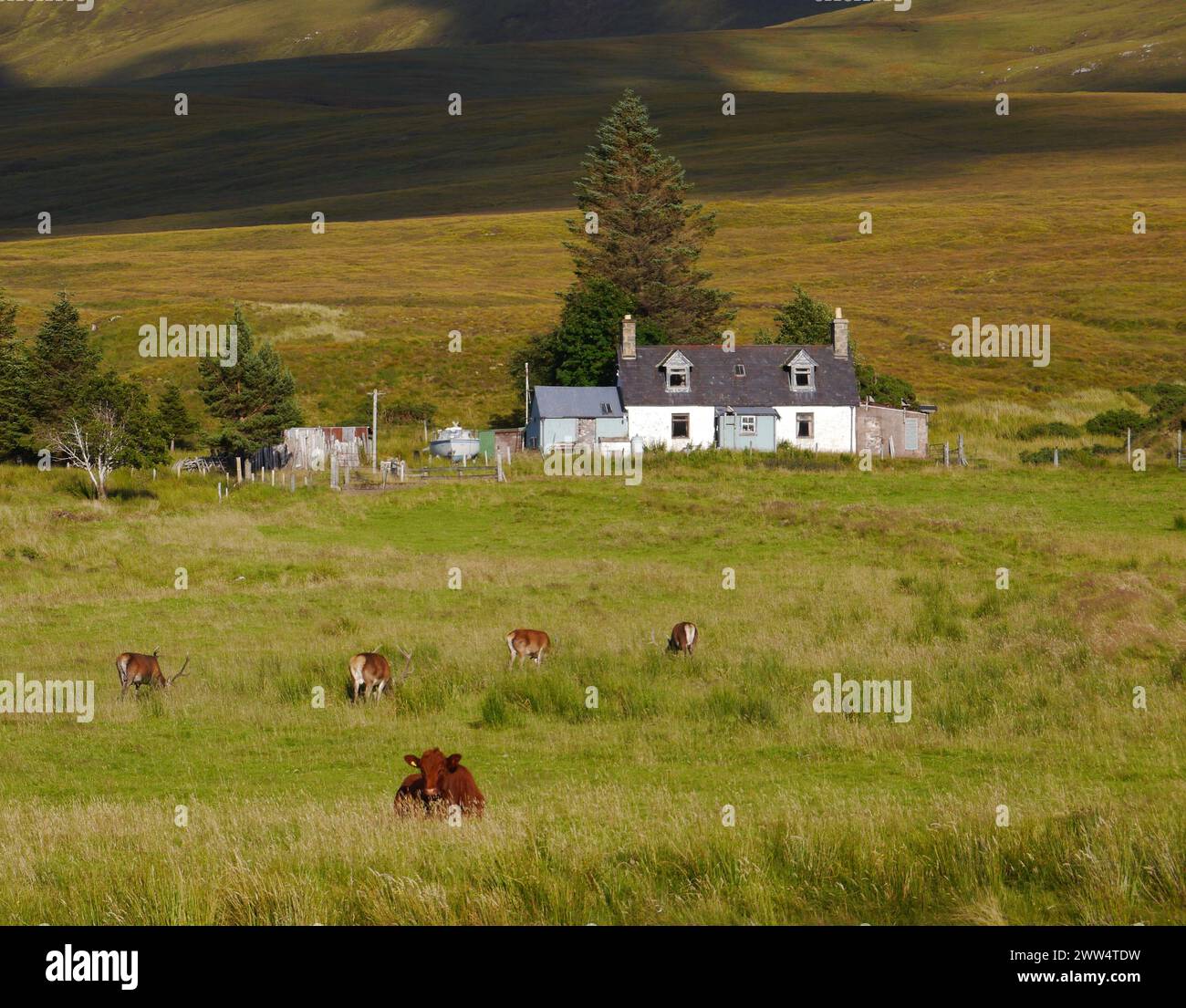 Red roofed house at loch torridon scotland Stock Photo - Alamy