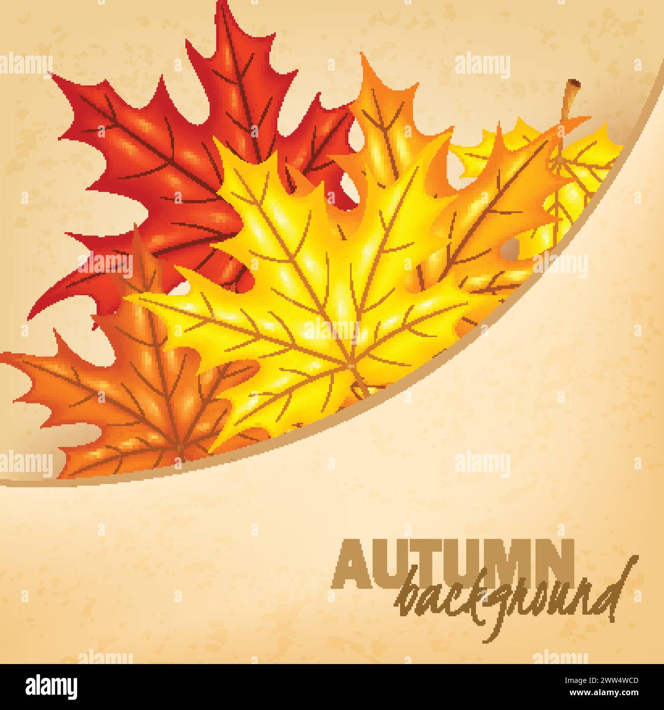 Autumn Leaf Background, Vector Illustration Stock Vector Image & Art ...