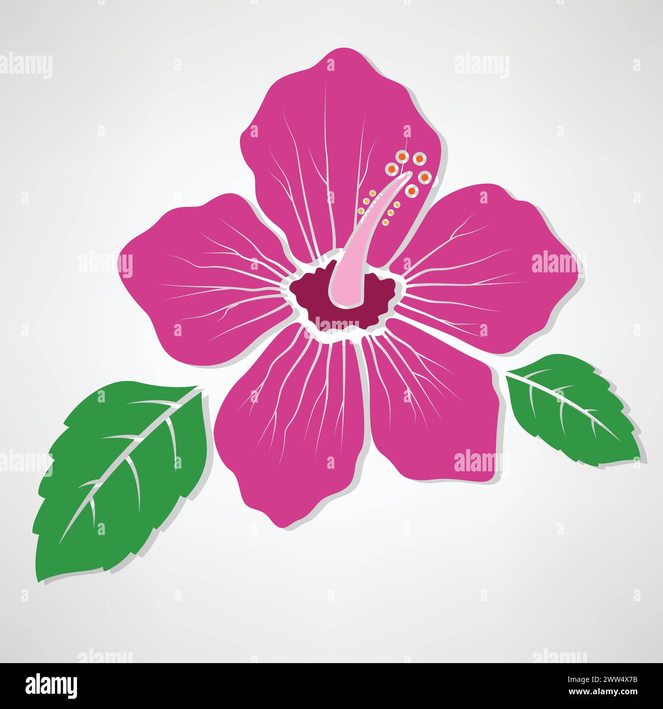 Purple hibiscus flower Stock Vector Images - Alamy