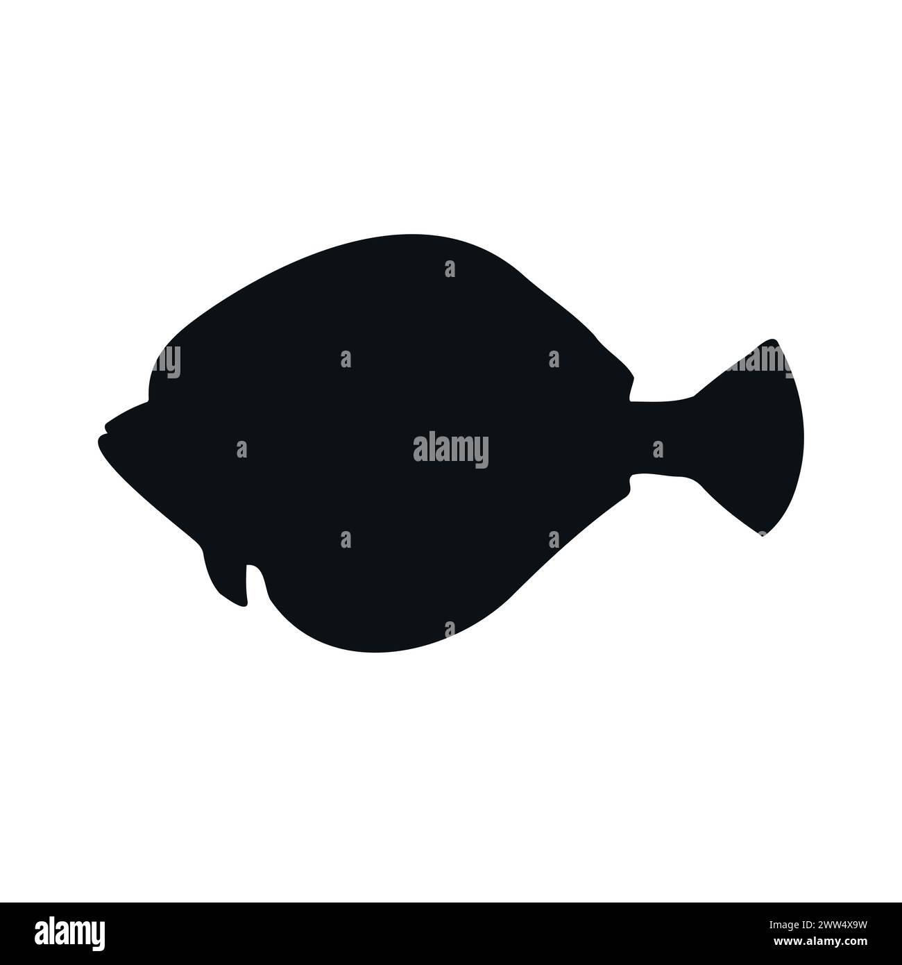 Vector hand drawn flounder fish silhouette isolated on white background ...