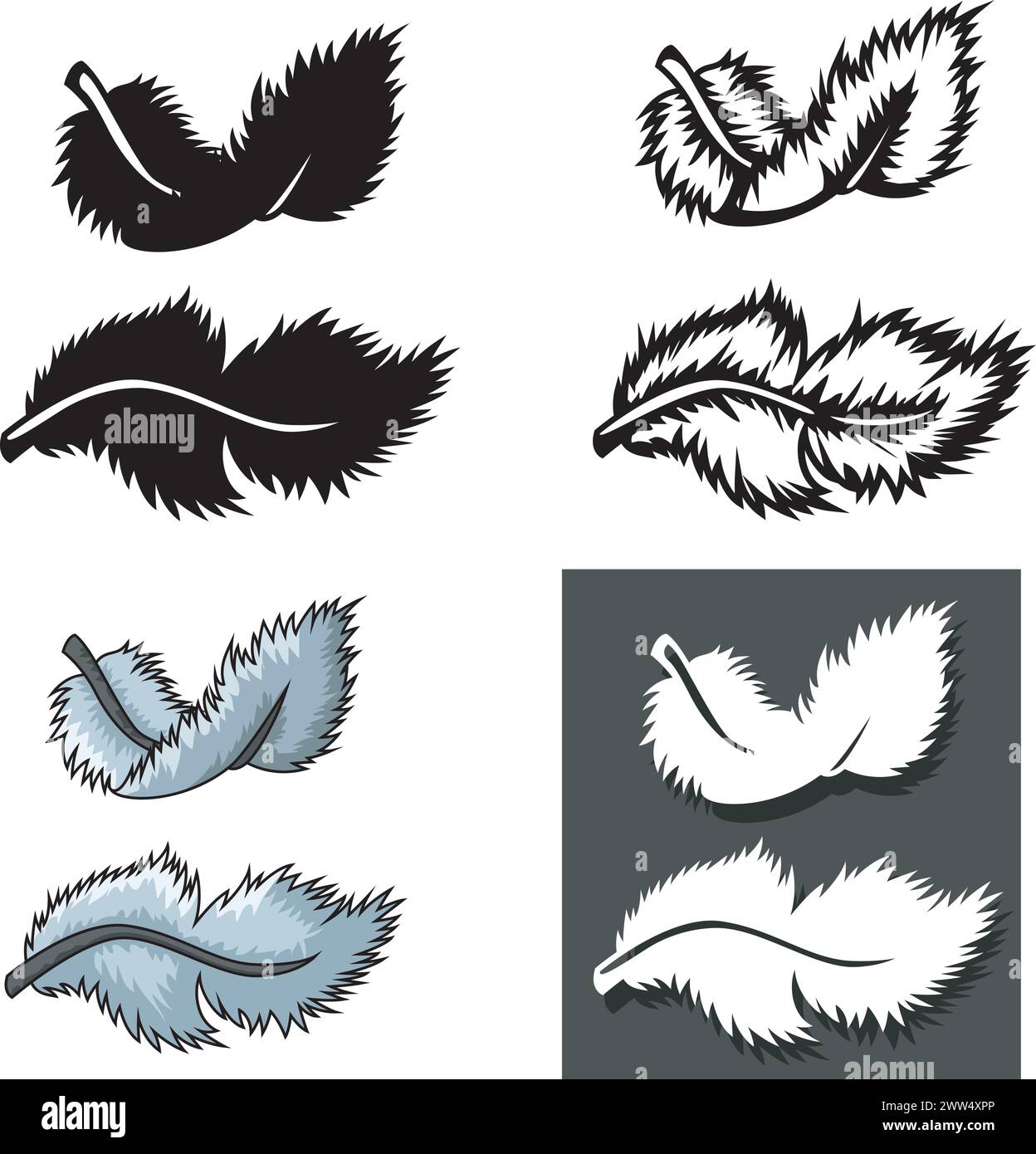 Illustration different feather types hi-res stock photography and ...