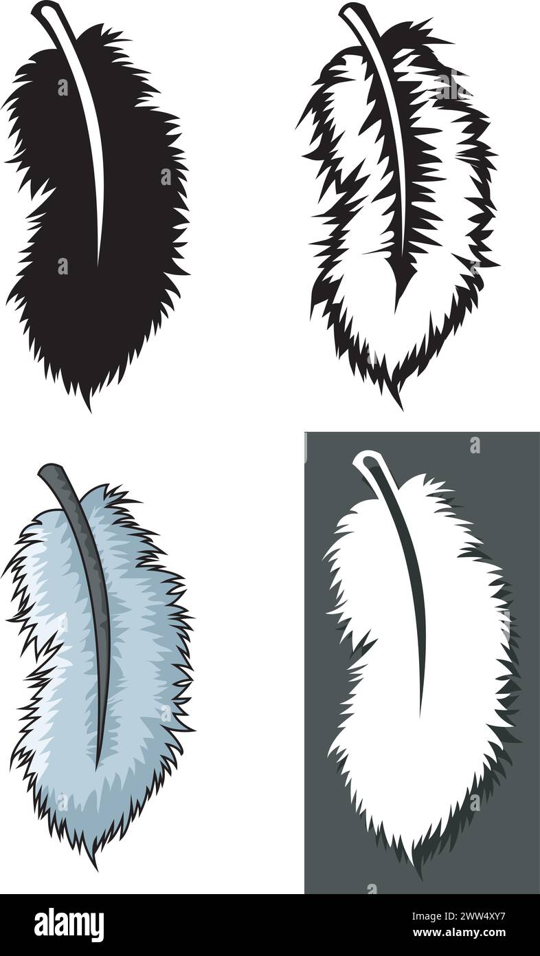 Set of Feathers Types with Different Concept, Vector Illustration Stock ...