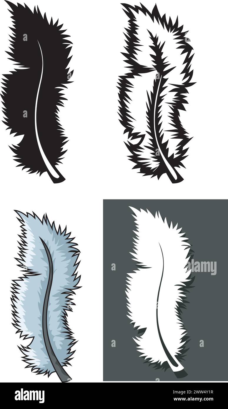 Set of Feathers Types with Different Concept, Vector Illustration Stock ...